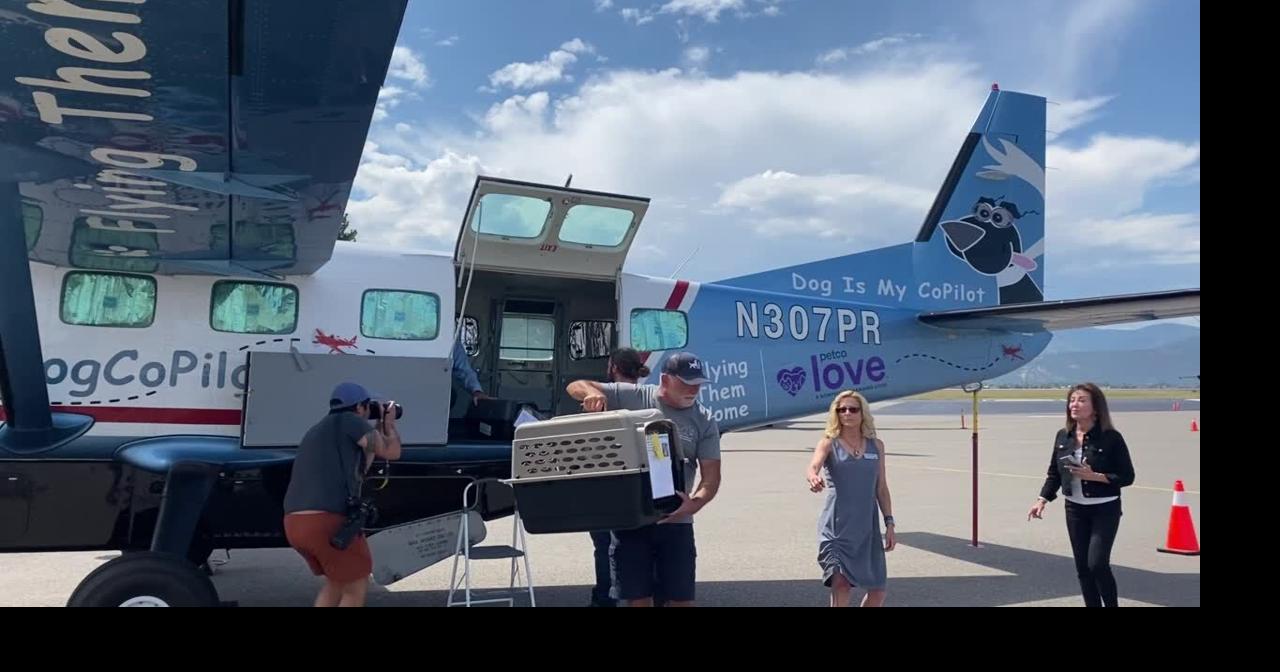LA dogs fly to Missoula to find new homes