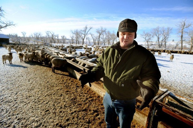 Lamb becomes lucrative for Montana ranchers