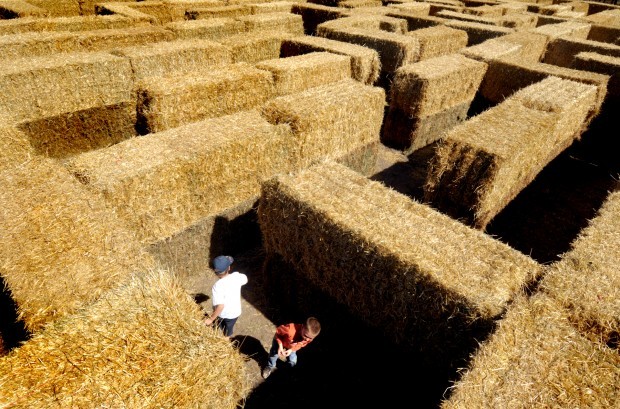 Straw Bale Maze Layout