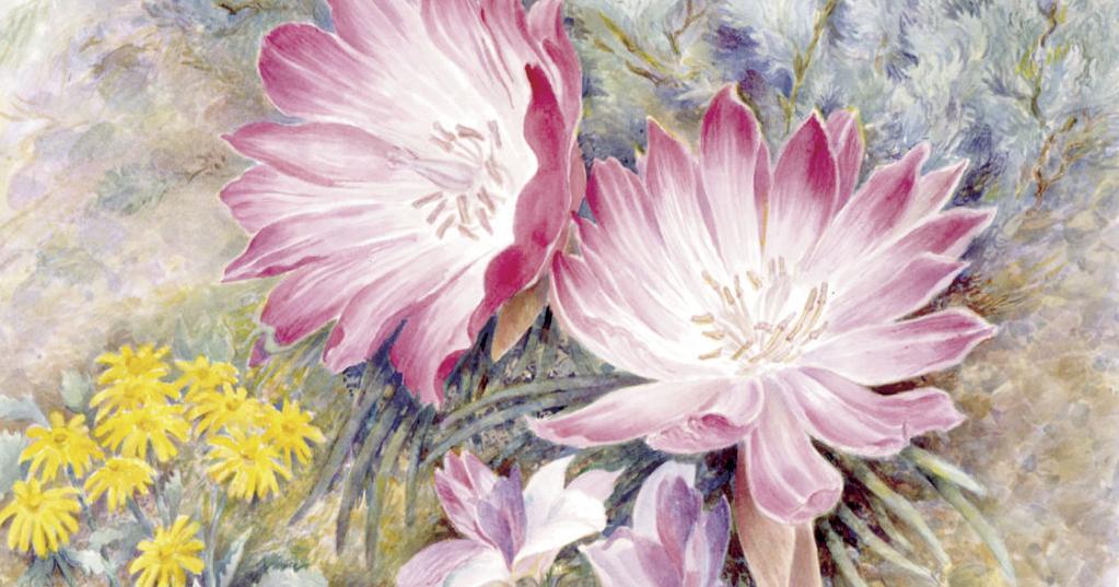 Retrospective examines art of late painter Mary Beth Percival