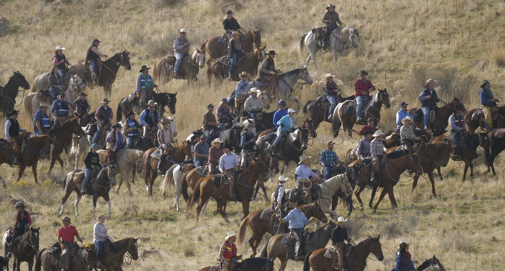 Bison roundup conjures bygone days of US West | State & Regional ...