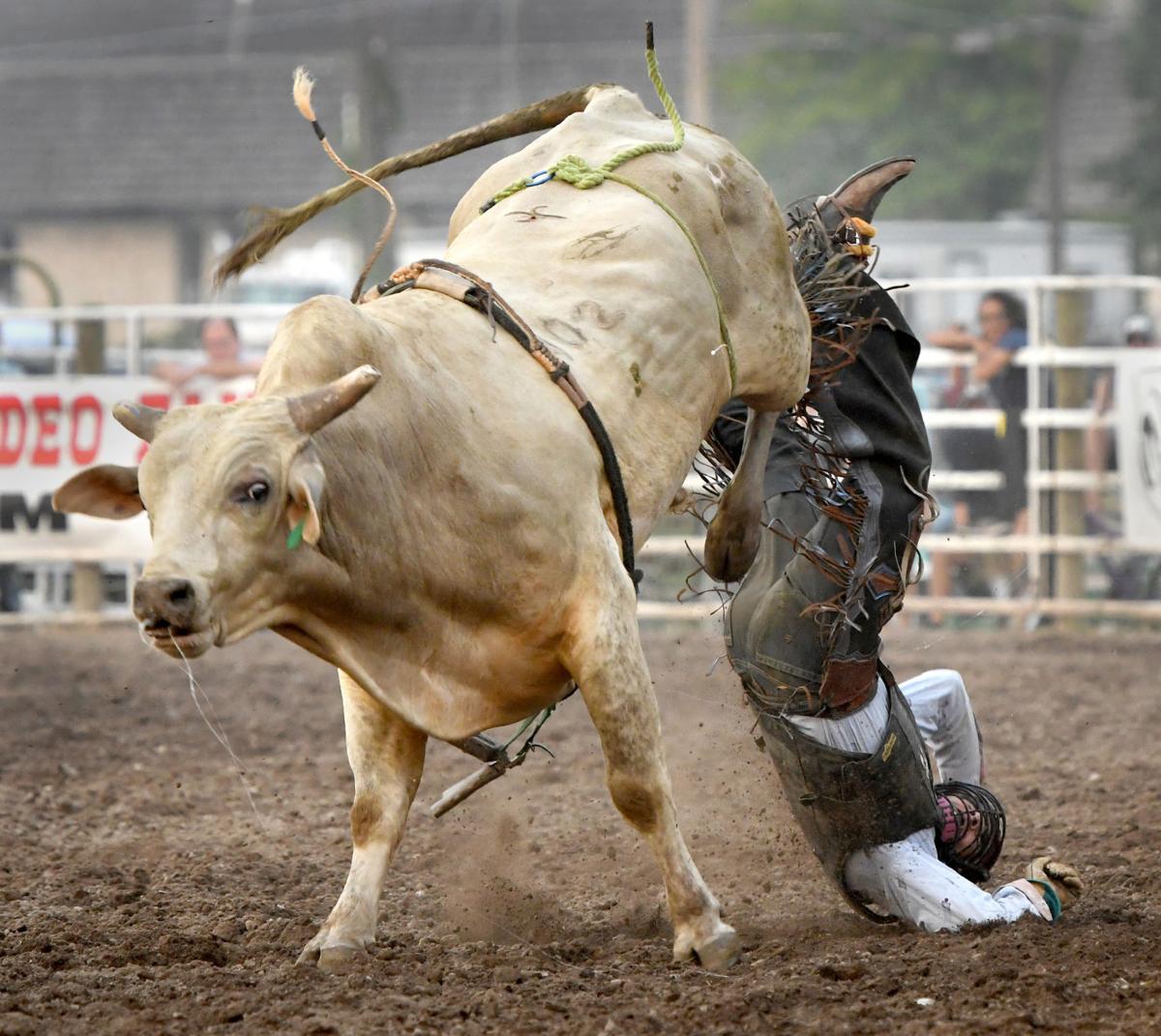 Chicken Little brings out best in Utah cowboy at Missoula bull riding ...