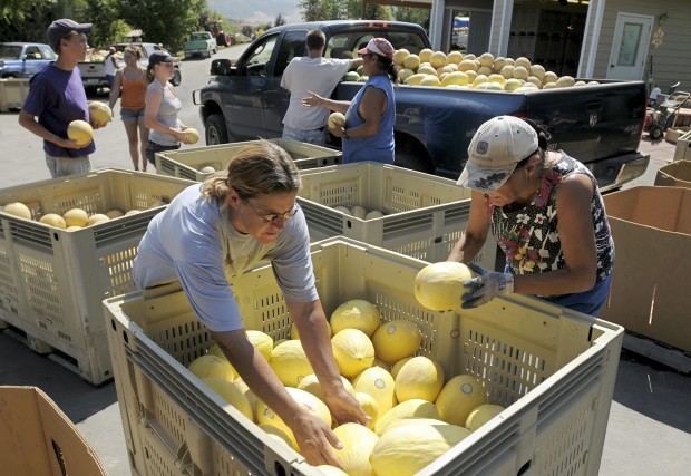 Melon Days celebrates sweet summer in Dixon