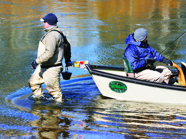 Dead trout in dewatered West Fork of Bitterroot concern some