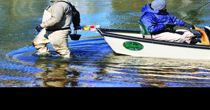 Dead trout in dewatered West Fork of Bitterroot concern some