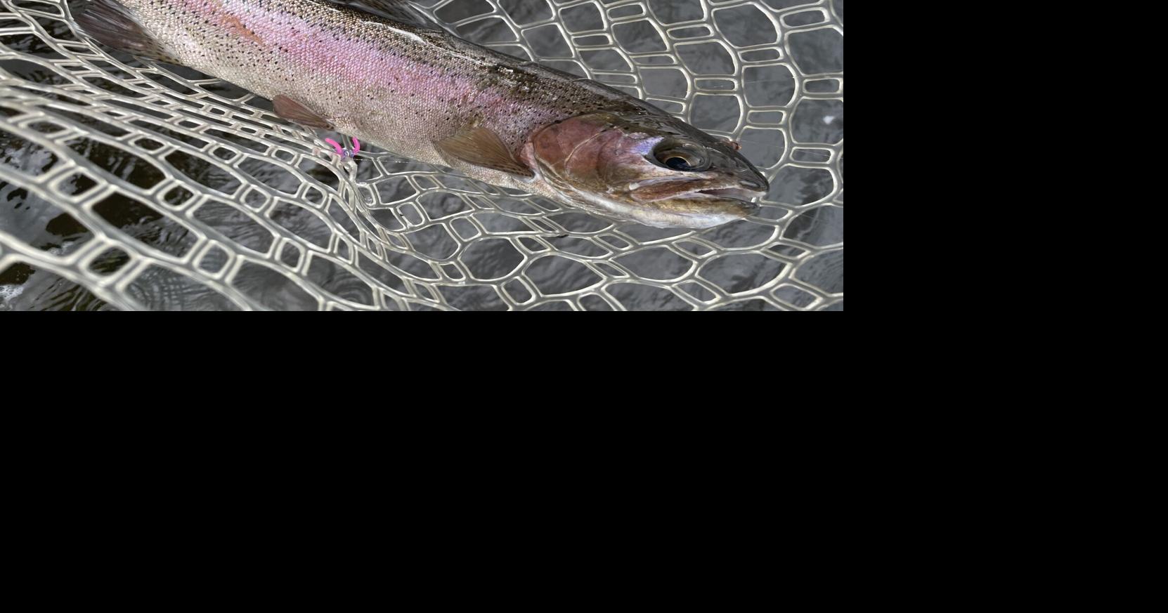 CSKT officials issue fish consumption advisory