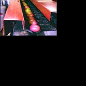 Monday, October 9, 2000: O. Marshall Moy, Jim Bailey, Edwin Marion Ewen ...