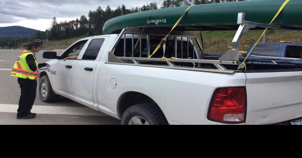 Canadians join search for invasive mussels after Montana detection