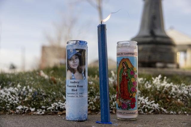 Audrey Bird's alleged killer had a domestic violence history