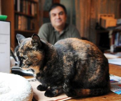 ‘Conrad cat’: Mansion's resident feline inspires kids' book