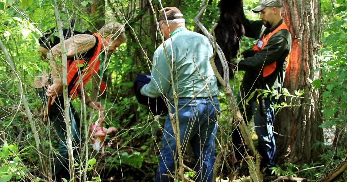Game wardens practice wildlife attack response in Missoula park