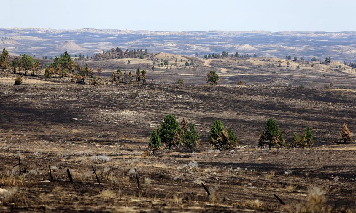 Firefighting not hindered by BLM WSAs