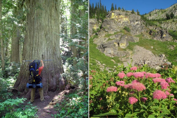 Hub Lake: Trail of diversity leads to pocket lakes