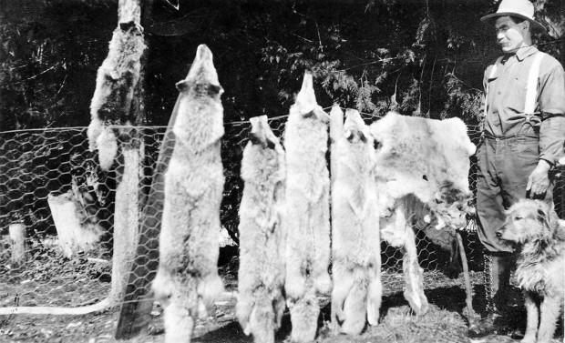 Doody homestead housed 'Bootleg Lady of Glacier Park'