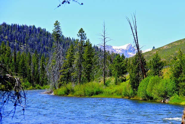 Campgrounds downriver of Stanley offer peace and quiet away from the crowds
