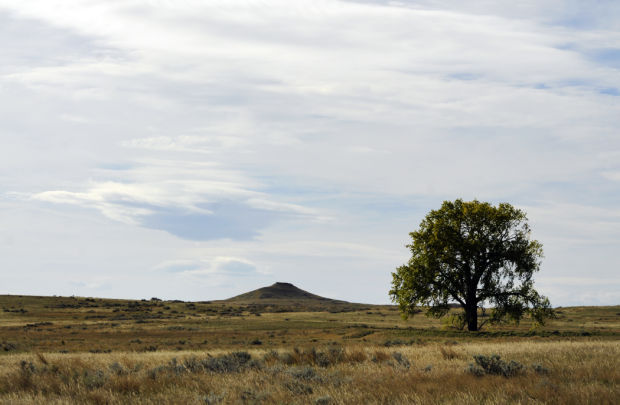 Roadside Wandering in northeast Montana
