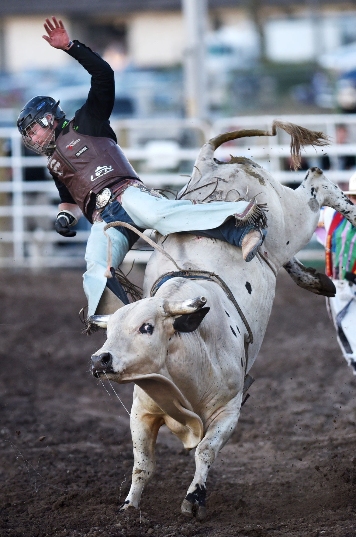 Why Rodeo?: 'Too lazy to work and too scared to steal, I suppose ...