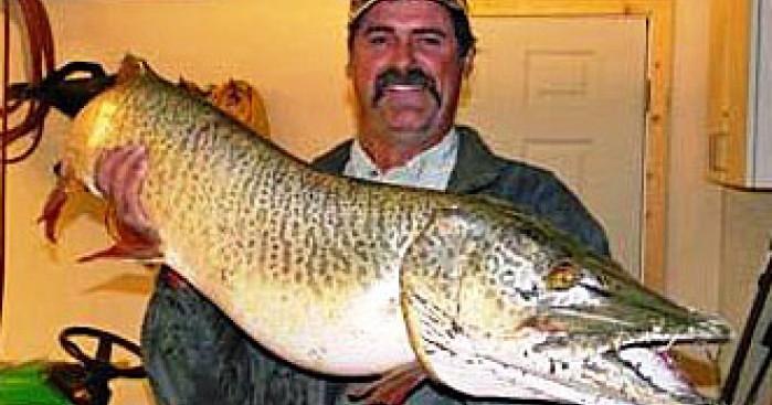 State record tiger muskie caught in Deadman's Reservoir