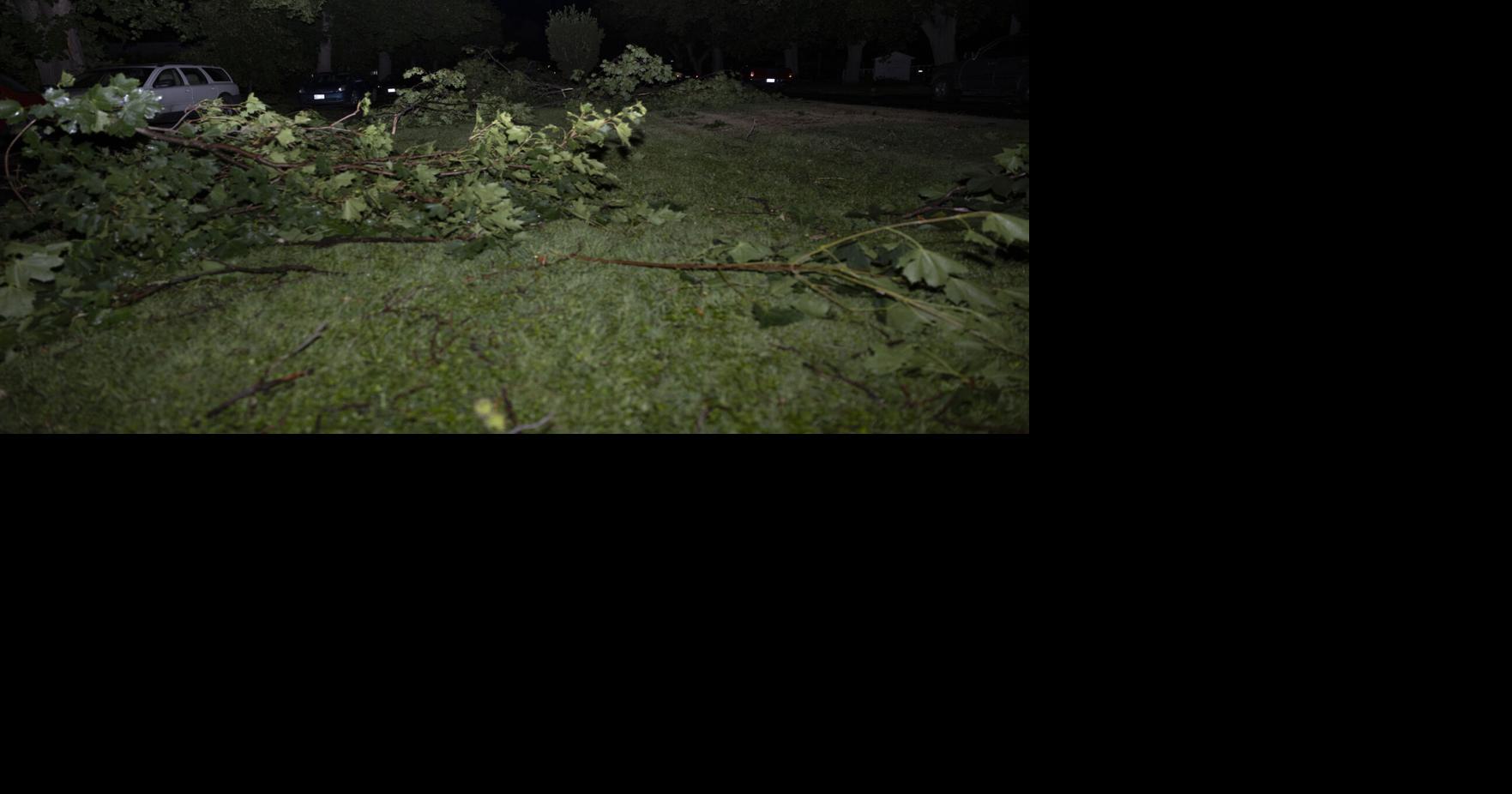 MIssoula tree debris drop off points announced