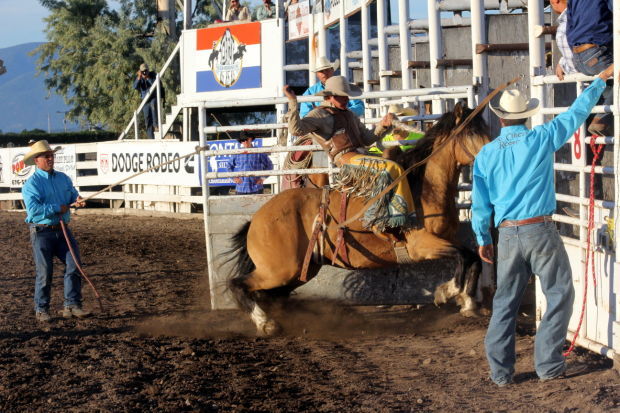 Polson rodeo offers wild ride