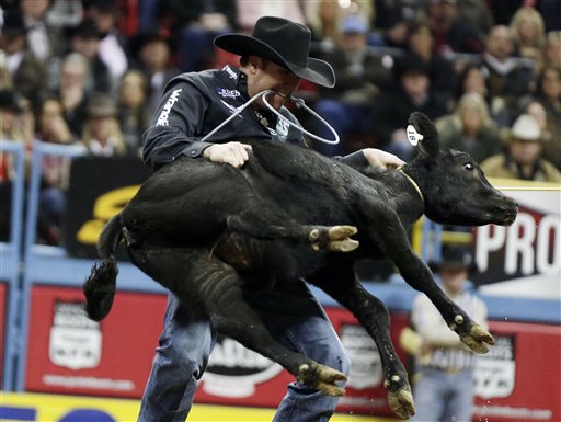 Knowles takes season steer wrestling lead at NFR