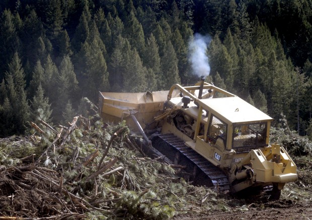 Group looks to turn forest waste into fuel for jets