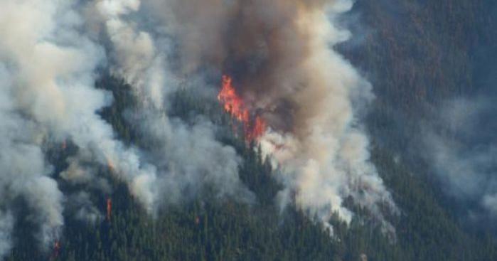 16K flaming ping-pong balls dropped on wilderness fire west of Darby