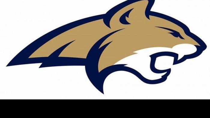 Montana State Bobcats introduce new logos, brand | Big Sky | missoulian.com
