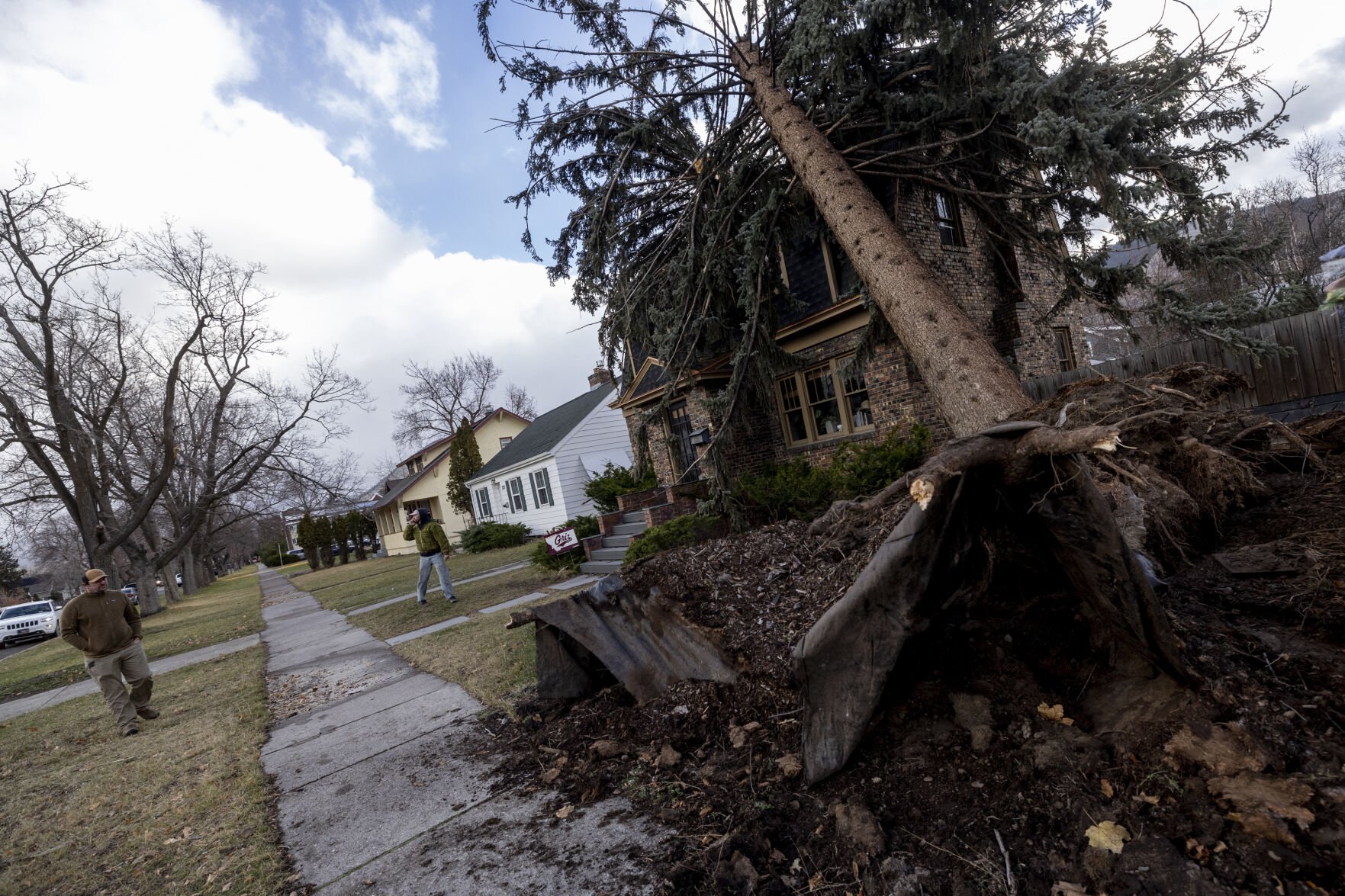 Gov. Gianforte asks Trump for $6.5M for windstorm recovery