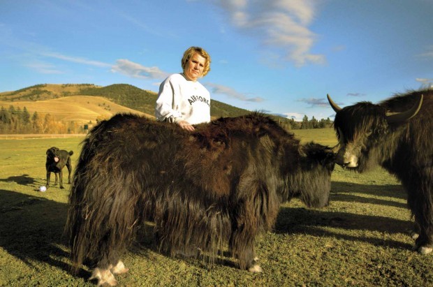 'Yak attack' - Dixon couple keeps unusual pets