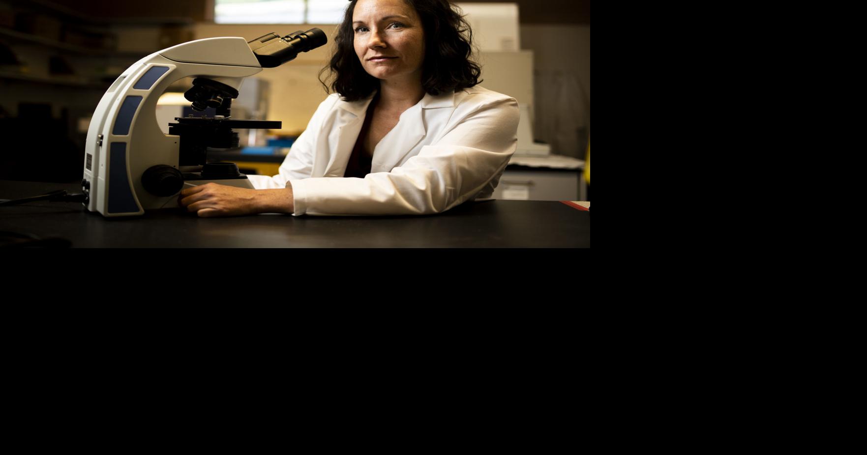 University of Montana researchers say Montana's response to COVID-19 ...