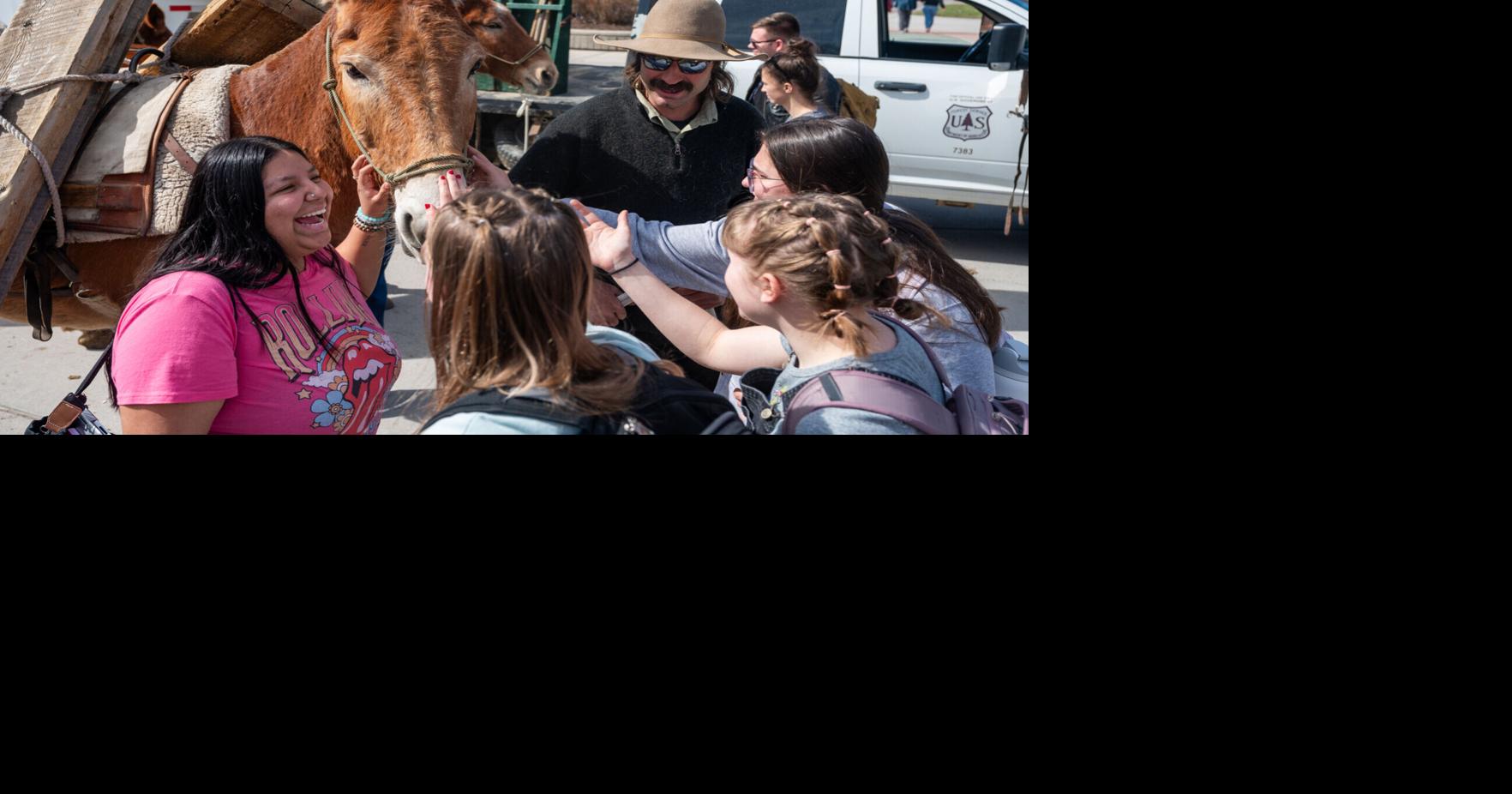 Mules on the Oval promote summer courses at UM
