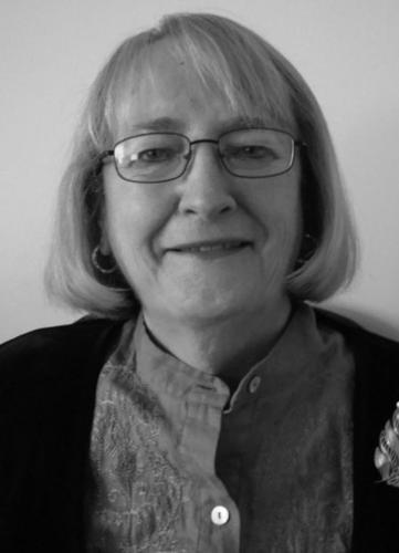 Missoula County commission candidate wants to implement 'vision' of ...