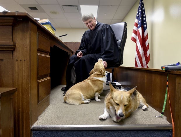 Court canines offer comfort, relieve stress in Missoula courthouse