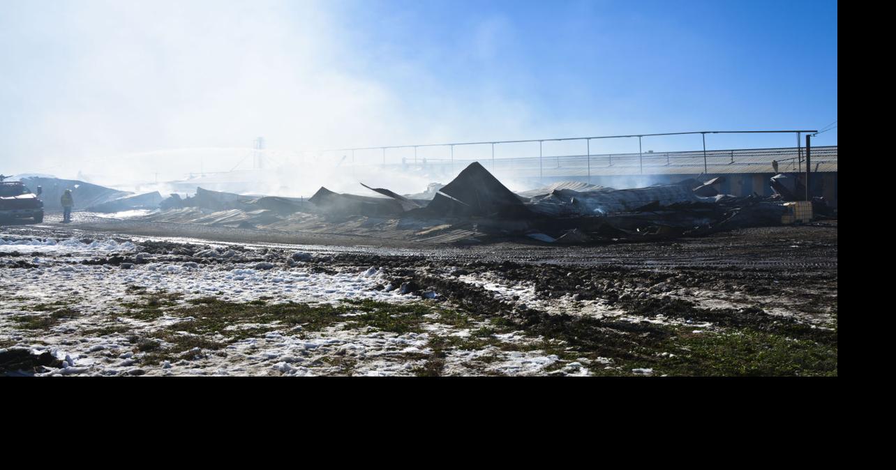 Pig barn fire causes $1.3M in damages