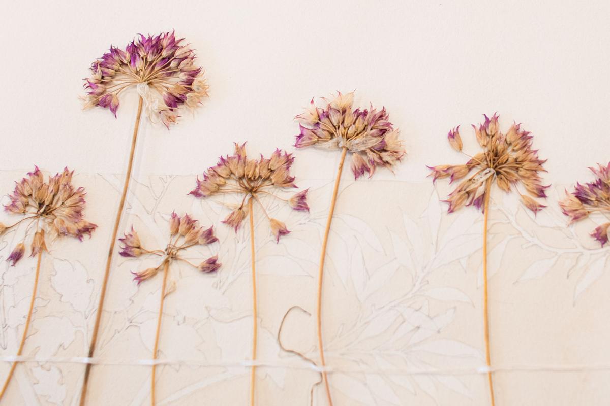 ZACC welcomes artist Sarah Jones to Missoula with new printmaking ...