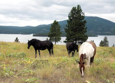 Wild Horse Island: A real treasure in state park system