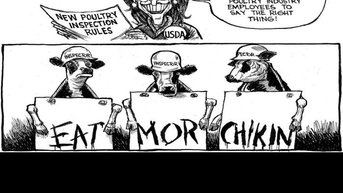 CARTOON: USDA relying on poultry inspectors to report any suspected ...