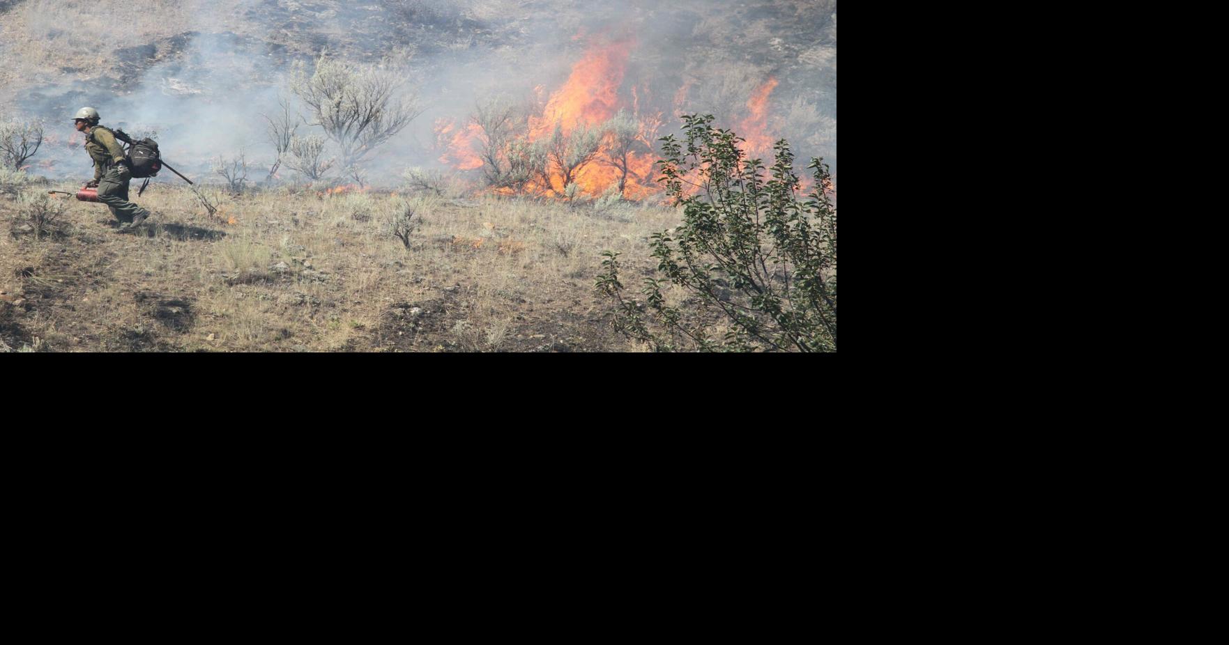 Fire updates: Moose fire enters critical days amid 'extreme' behavior