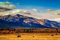 Reader-submitted fall colors