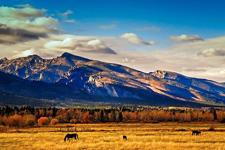 Reader-submitted fall colors