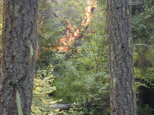Siegel Creek Fire