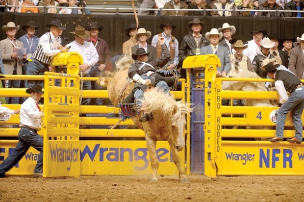 Power bronc rider Davis returns to NFR after three-year absence