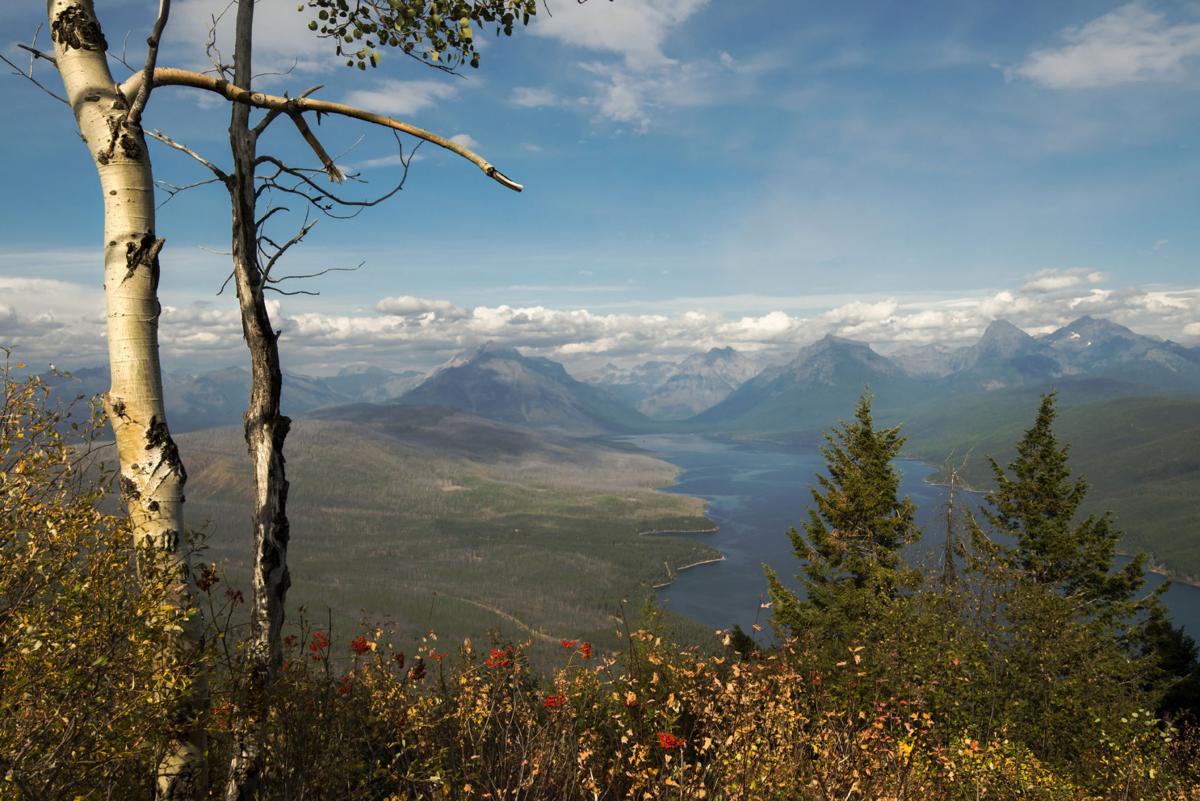 Glacier's Apgar Lookout Trail reopens after tower replaced