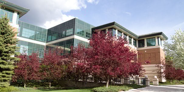 UM School of Business Administration keeps up on workplace trends