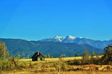 Reader-submitted fall colors