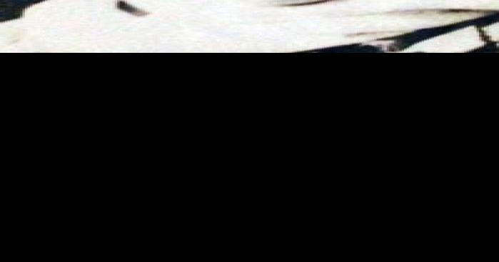 Sheila Kathleen Scully