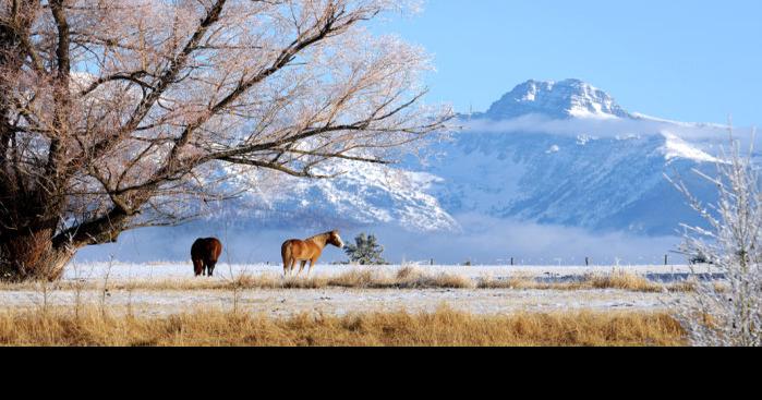 Midwinter view of Mission Mountains, warming sun