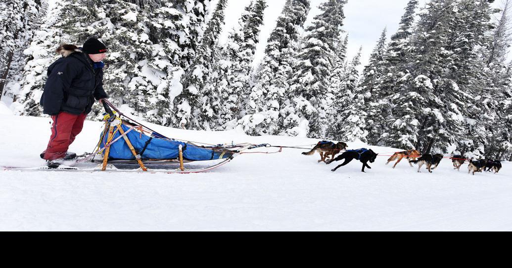 Darby Dog Derby: Teams take to trails for final day of races