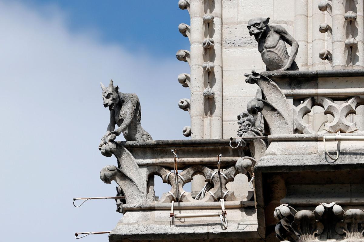 Now you can adopt one of Notre Dame's grotesque stone creatures to help ...
